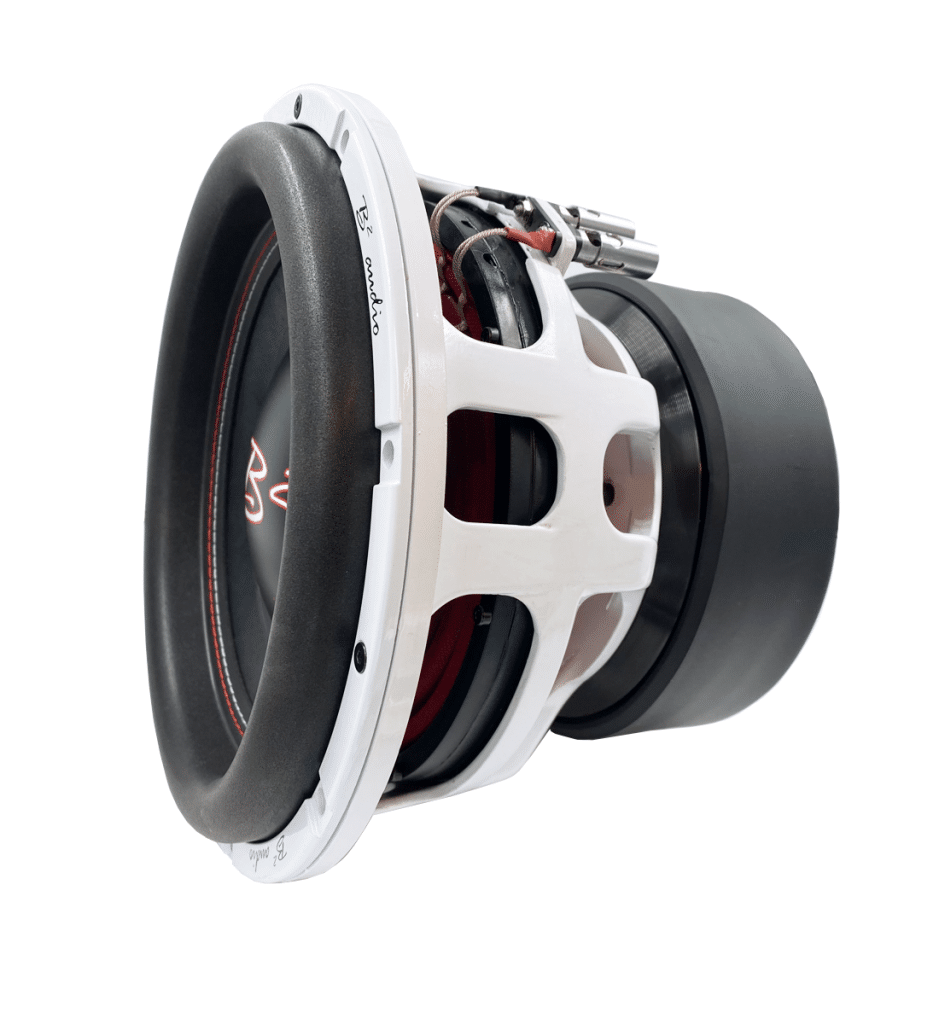 B2 Audio RAGE 12" Subwoofer 2+2 ohm 2000W — SK-Autosound